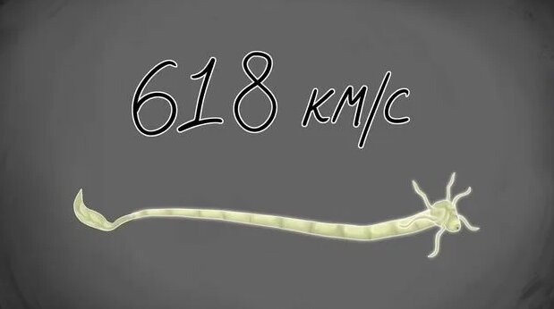 [ Детектив Войд ] SCP - 1682 Солнечный паразит ( Анимация SCP ) - Смотреть онлайн в поиске ...