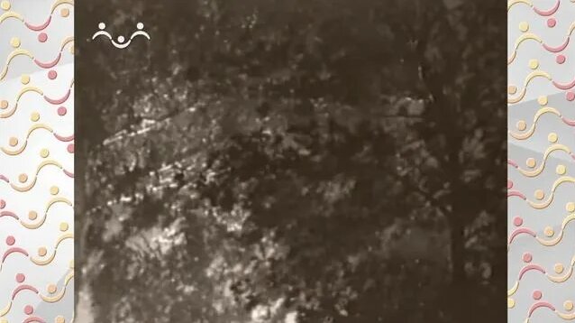 Мой Живой Журнал. Лев Толстой - Смотреть онлайн в поиске Яндекса по Видео