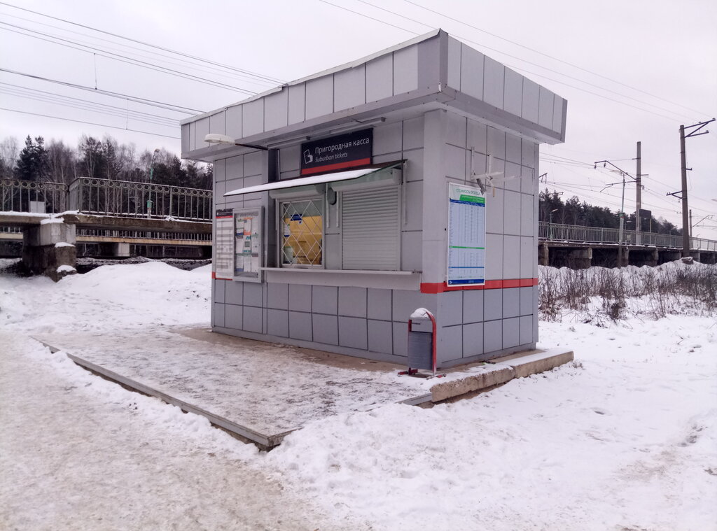 Tren istasyonu Podosinki, Moskova ve Moskovskaya oblastı, foto