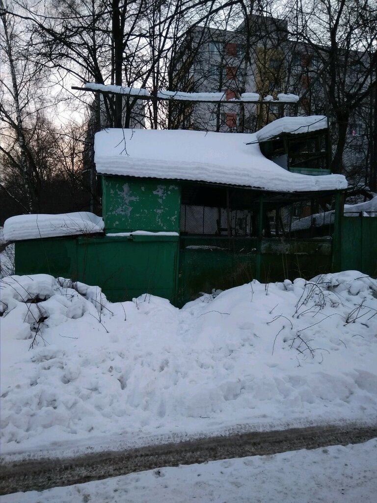 Evcil hayvan yetiştiricileri Голубиный питомник, Moskova, foto