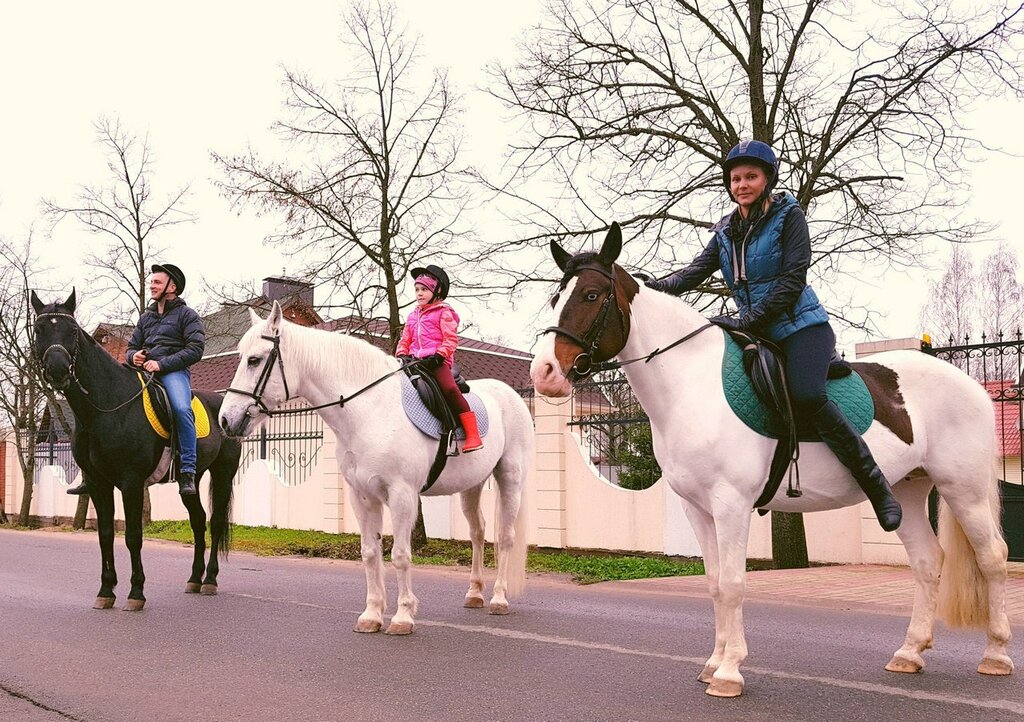 At ve binicilik kulüpleri Bereginya, Saint‑Petersburg, foto