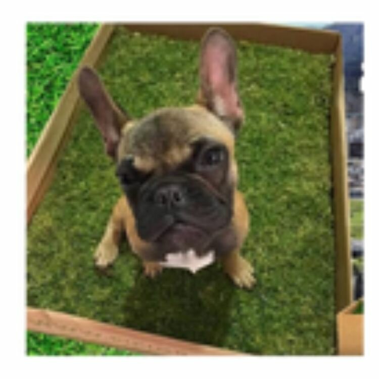 Seramik fayans Gramas Y Suministros, Bogota, foto