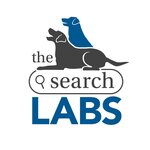 The Search Labs (United States, Tyler, 3400 G. E Dr), hosting firmaları  Texas'tan