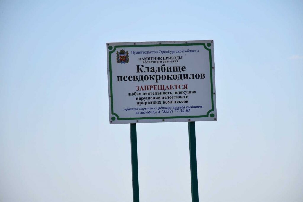 Doğa Кладбище псевдокрокодилов, Orenburgskaya oblastı, foto