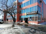 Buharest (Zhambyl Zhabayev Street No:6), bira dükkanı  Petropavl'dan (Petropavlovsk'tan)