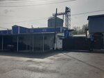Llp Taraz Halvasy (Tynyshbaev Street No:15), pastacılık üretimi  Taraz'dan