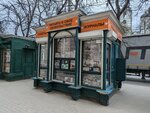 Gazety Zhurnaly (Fridrikha Engelsa Street No:7), gazete bayi  Voronej'den
