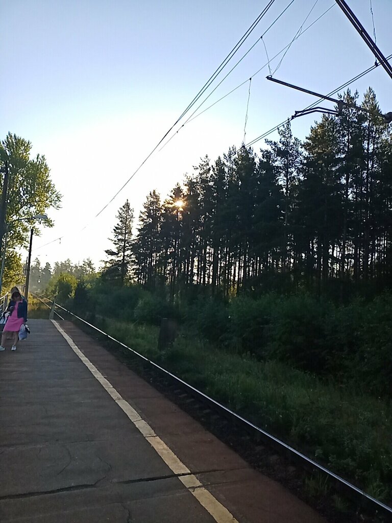 Tren istasyonu остановочный пункт 1-я платформа, Saint‑Petersburg ve Leningradskaya oblastı, foto