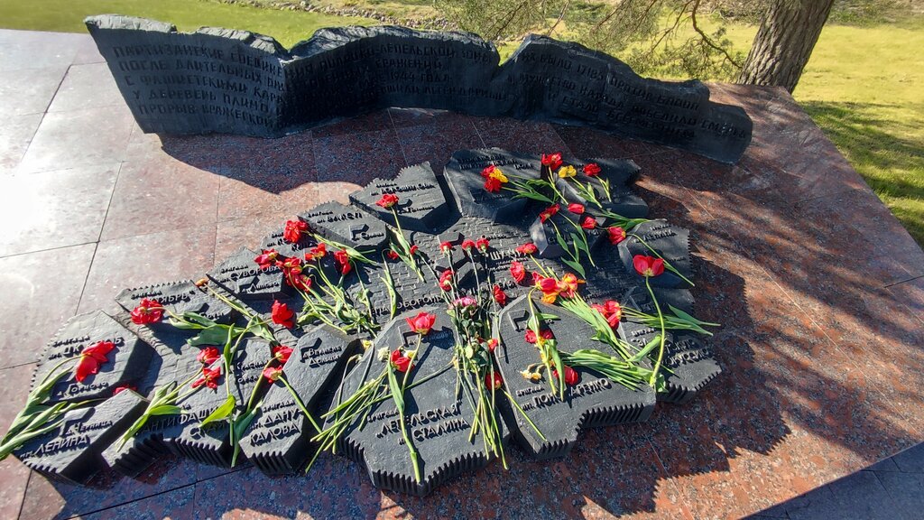 Anıt, heykel Символическая рельефная карта обороны Полоцко-Лепельской партизанской зоны, Vitebskaya oblastı, foto