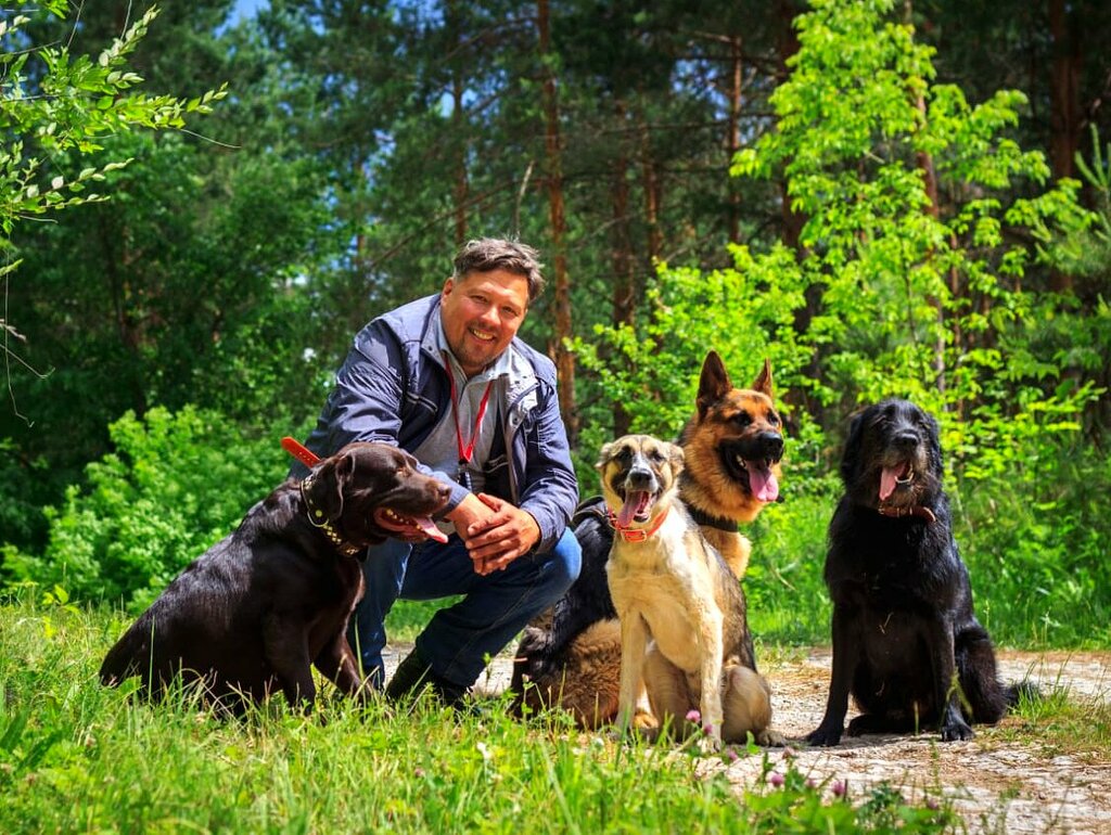 Pet otel Zoogostinitsa for dogs, Mendeleyevsk, foto