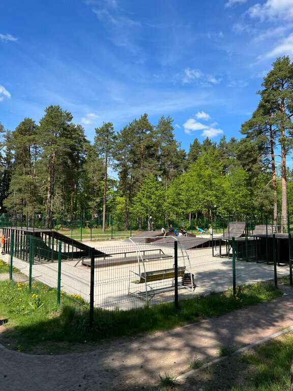 Spor alanı Скейт-парк, Luga, foto