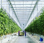 Prom-agro (Kurchatova Street No:47/3), sera ekipmanları  Obninsk'ten