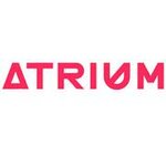 Atrium Архитектурная мастерская (Stolyarny Lane No:3к13), i̇ç mimarlık firmaları  Moskova'dan
