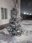 Дистанция пути СЖД филиал Пч-10 (Kostroma Region, Buy), demiryolları yönetimi ve bakımı   Buy'dan