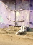 Ets Kid (Brazzaville, Commune de Poto-Poto, Mbetis Rue), bilgisayar kulübü  Brazzaville'den