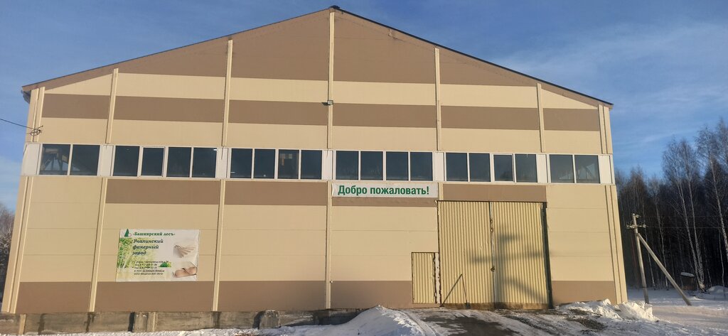 Kontrplak Bashkir Forest, Uçaly, foto