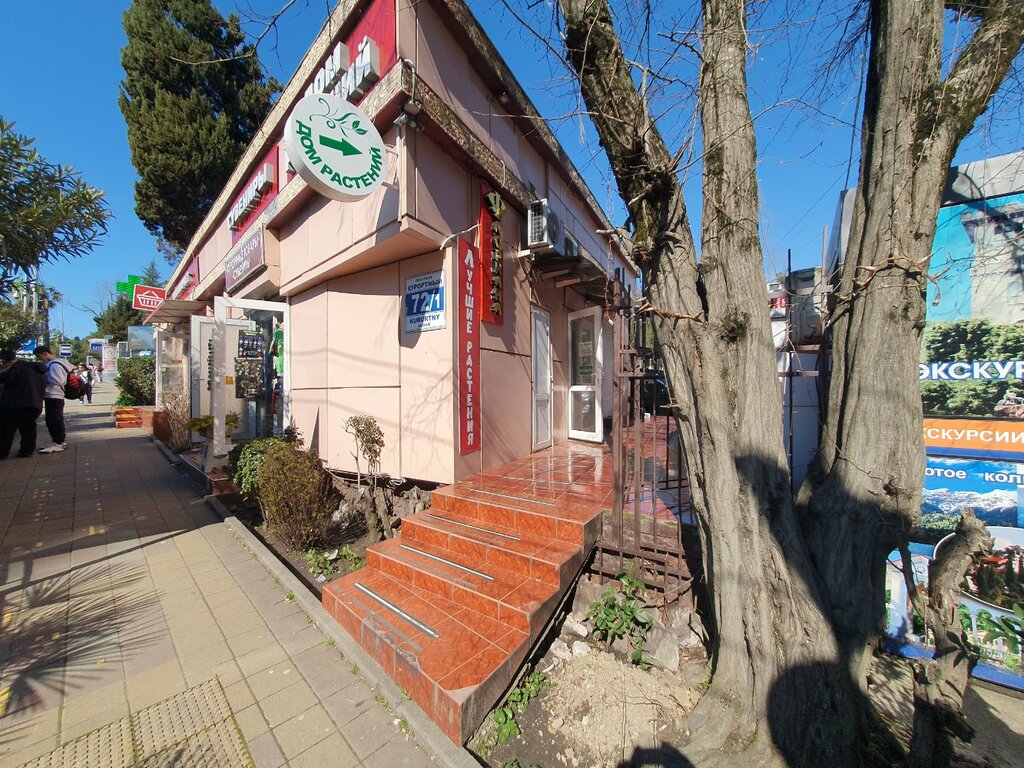 Sera ve bahçe ürünleri Флориана, Soçi, foto