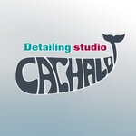 Cachalot (Lesnaya Street No:1к1), detaylı oto bakımı  Verhniaya Pyşma'dan