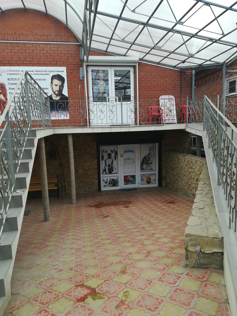 Veteriner klinikleri Bely kot, Krasnodar, foto