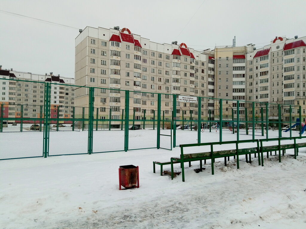 Spor alanı Мини-стадион имени Андрея Аршавина, Orel, foto