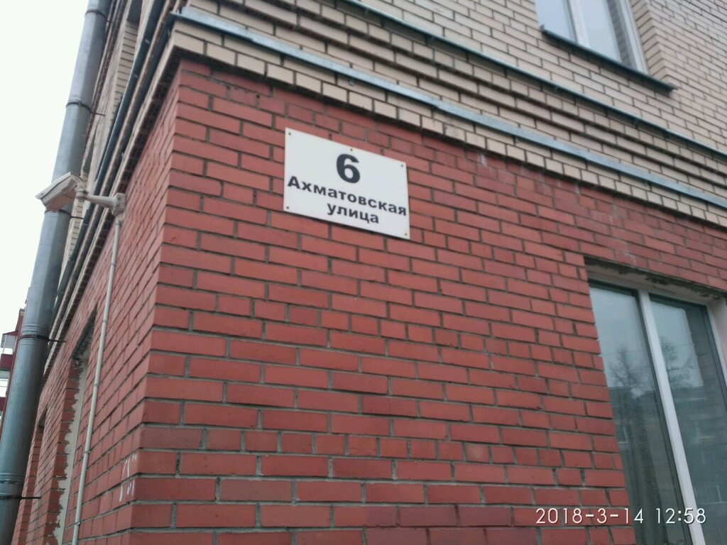 Bina, site yönetimi TSZh Akhmatovskoye, Puşkin, foto