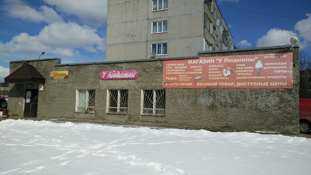 Market Magazin U Lyudmily, Volosovo, foto