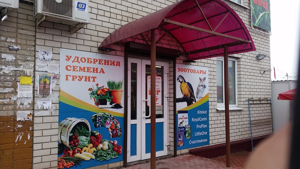 Çiçekçiler UDachny, Penzenskaya oblastı, foto