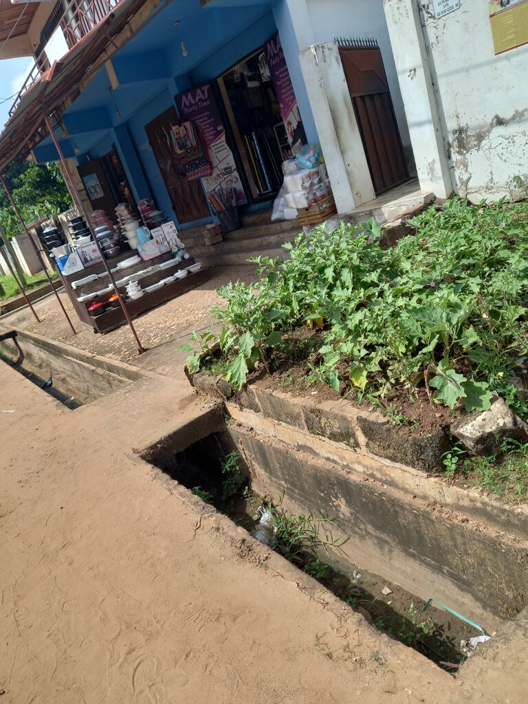 Market Amatt Ventures, Dünya, foto