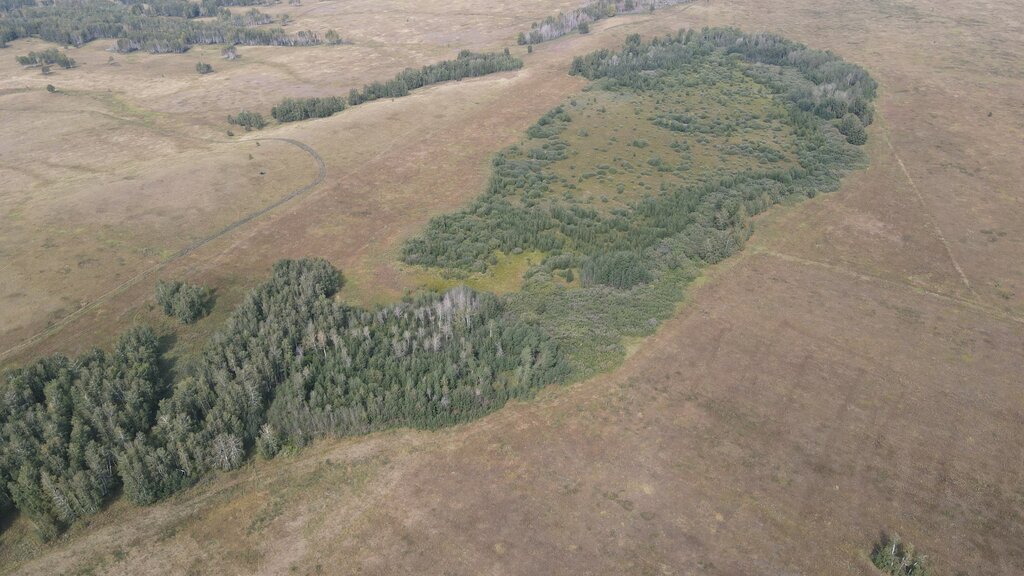 Doğa Ландшафтно-гидрологический памятник природы Урочище Моховое, Orenburgskaya oblastı, foto