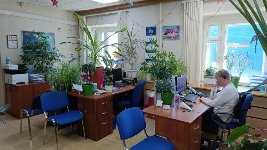 Otomobil yedek parçaları AutoDetal, Yaroslavl, foto