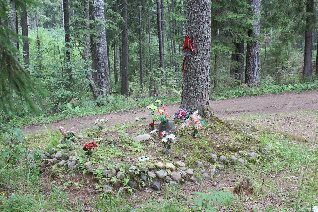 Anıt, heykel Братская могила воинов РККА, Novgorodskaya oblastı, foto