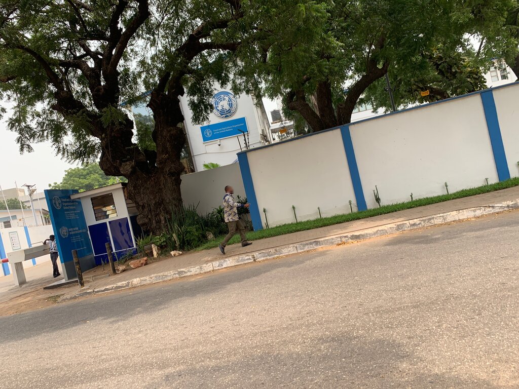 Yemek şirketleri Food and agriculture organization of the Un, Akra, foto