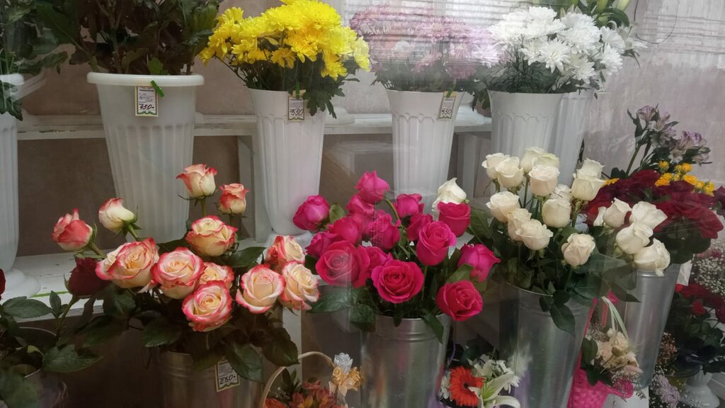 Çiçekçiler ИП Холод М.Ю., Tayshet, foto