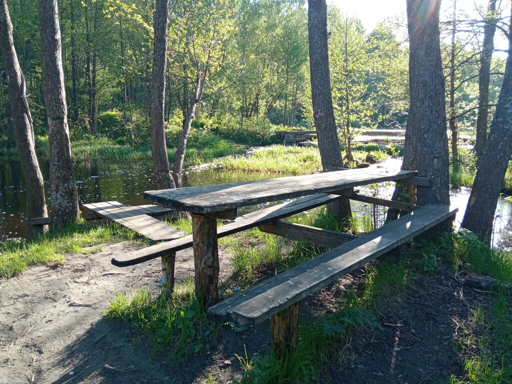 Piknik alanı Место для пикника, Vladimirskaya oblastı, foto