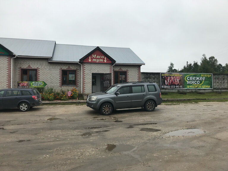 Kasap, şarküteri Мясо тут, Vladimirskaya oblastı, foto