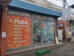 Рыба (Karasunskaya Street No:86, Tsentralniy City administrative district, Tsentralniy Microdistrict), balık ve deniz ürünleri  Krasnodar'dan