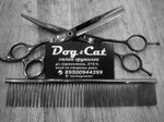 Dog&Cat (ulitsa Lermontova No:275/4), evcil hayvan kuaförleri  Irkutsk'tan