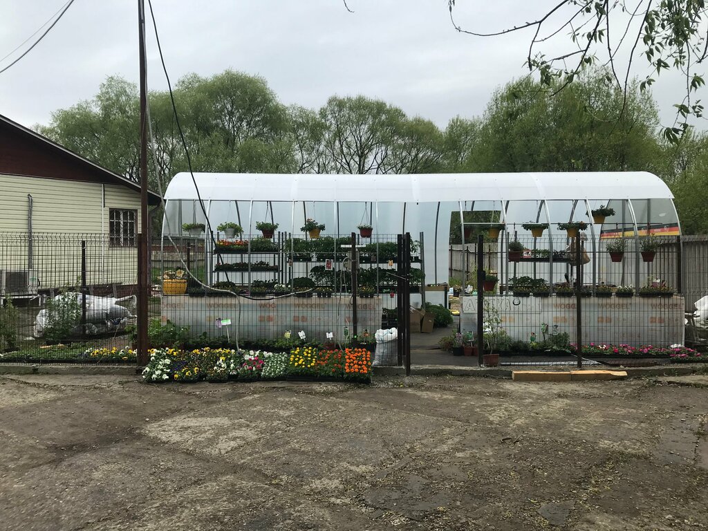 Bahçecilik mağazaları Садовый центр, Moskova ve Moskovskaya oblastı, foto