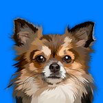 Your Groomer (ulitsa Lomonosova No:16), evcil hayvan kuaförleri  Volhov'dan