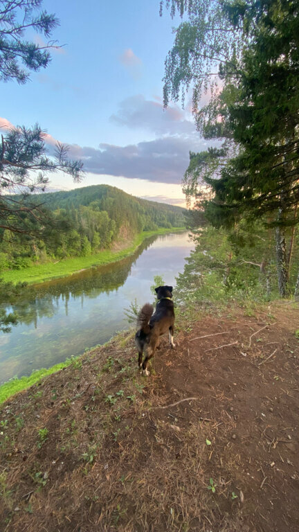 Seyir terası Смотровая площадка, Permski krayı, foto