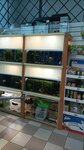 ЗооМах (ulitsa Dekabrskikh Sobytiy No:51), petshop  Cheremkhovo'dan