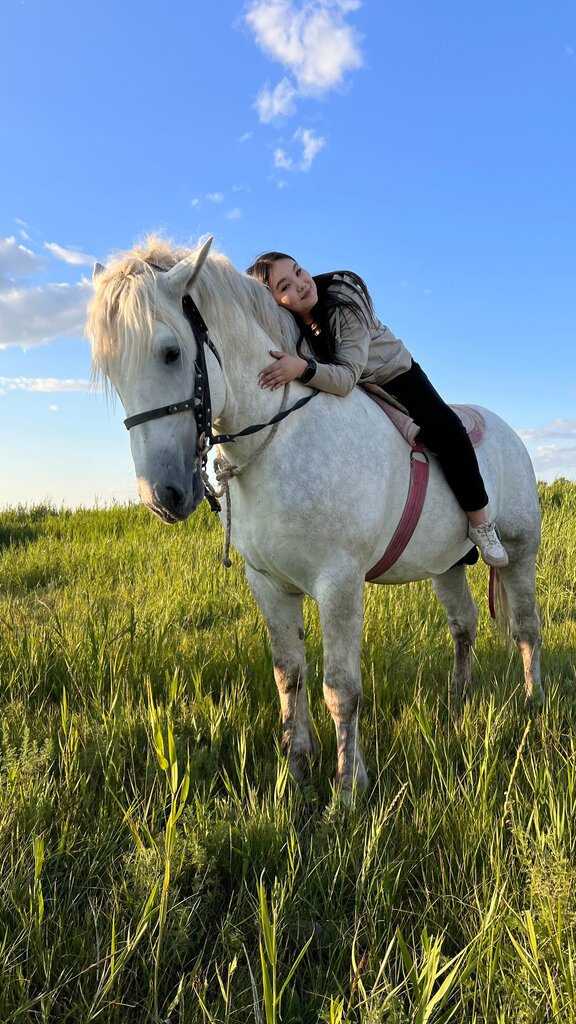 At ve binicilik kulüpleri Konnaya progulka, Aktöbe, foto