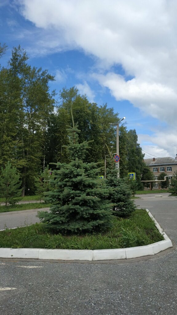 Kültür ve eğlence parkları сквер Атрон, Riazan, foto