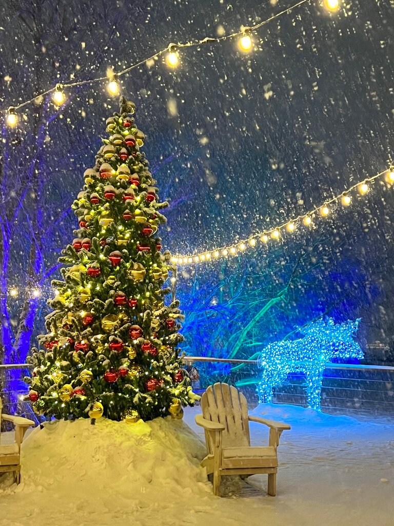 Buz pateni pistleri Bereg Ice Rink, Moskova, foto