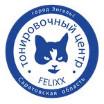 Felixx (ulitsa Nesterova No:63), araç camlarının renklendirilmesi  Engels'ten