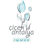 Çiçek Antalya Flowers Shop (Antalya, Muratpaşa, Rauf Denktaş Cad., 7B), çiçek teslimatı  Antalya'dan