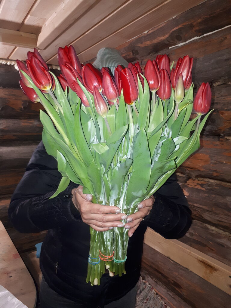 Sera ve bahçe ürünleri Садовый центр, Saint‑Petersburg ve Leningradskaya oblastı, foto