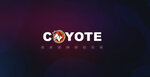 DexCoyote Foundation (Al Fattan Marine Towers, Jumeirah Beach Residence, Dubai Marina, Jumeirah, Dubai), yazılım firmaları  Dubai'den