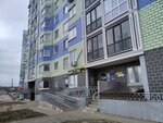 Wildberries (Yuzhnodomodedovskaya Street No:16), teslimat noktası  Domodedovo'dan