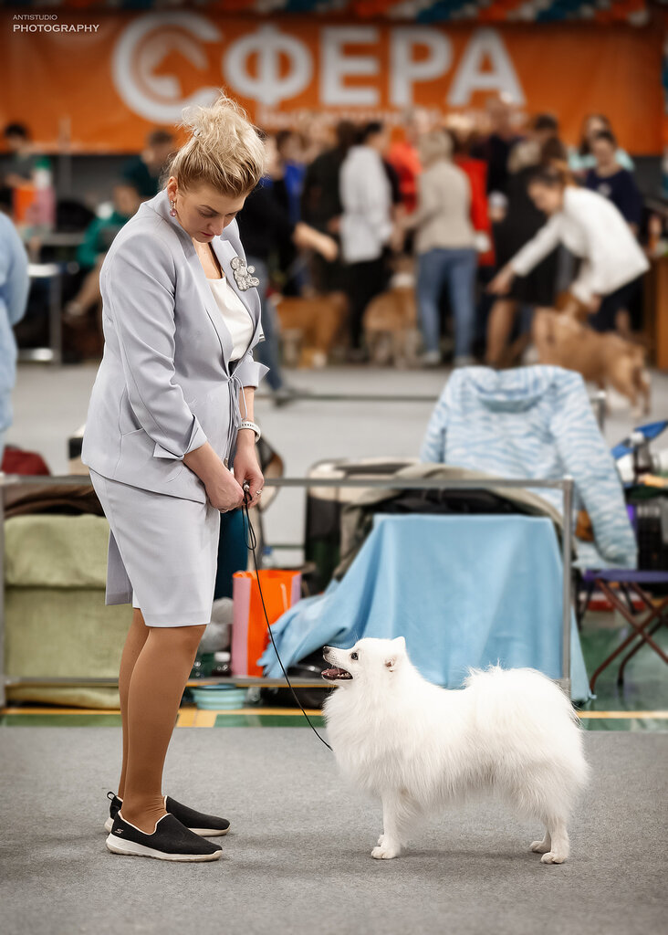 Evcil hayvan kuaförleri Зоосалон, Moskova, foto